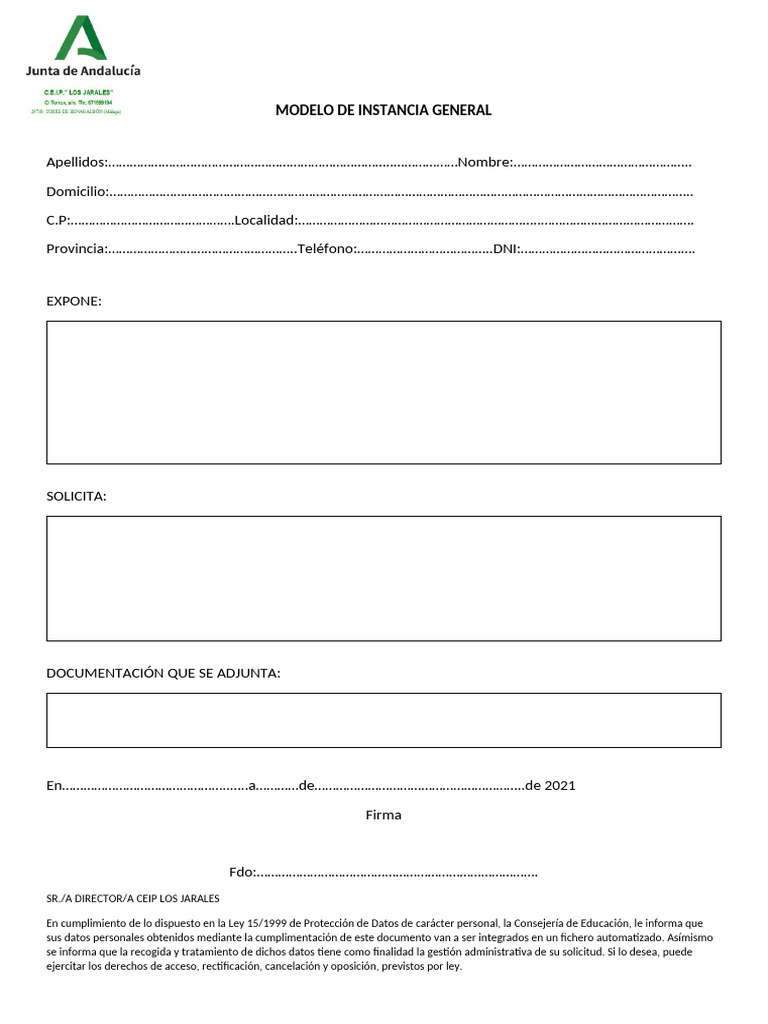 MODELO-DE-INSTANCIA-GENERAL | PDF