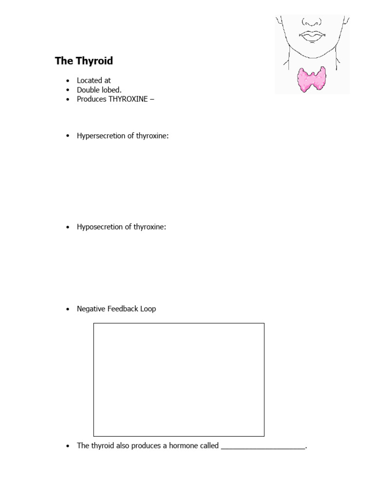 Throid Gland - Worksheet | PDF
