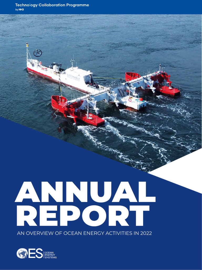 Oes Report 2022 Web | PDF