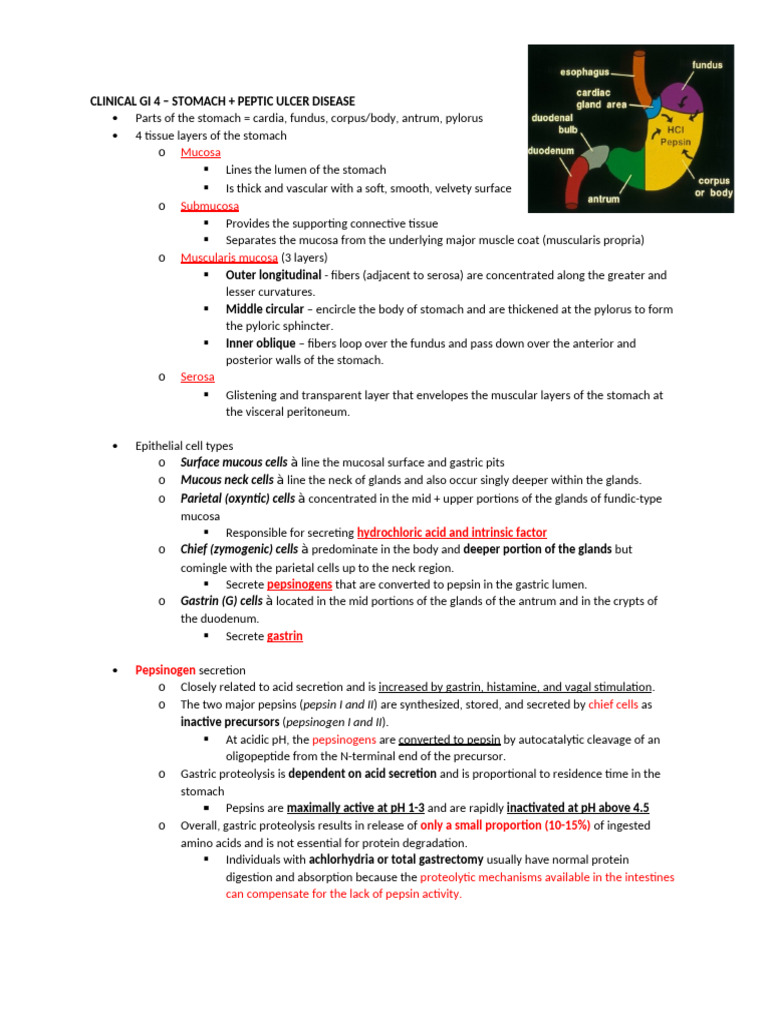 Study Guide GI 4 - Stomach and PUD - Part 1 | PDF