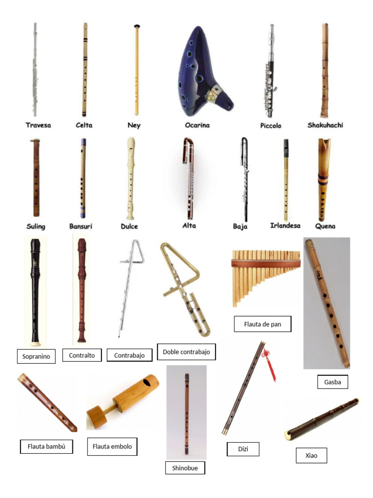 Todos Los Tipos de Flauta | PDF