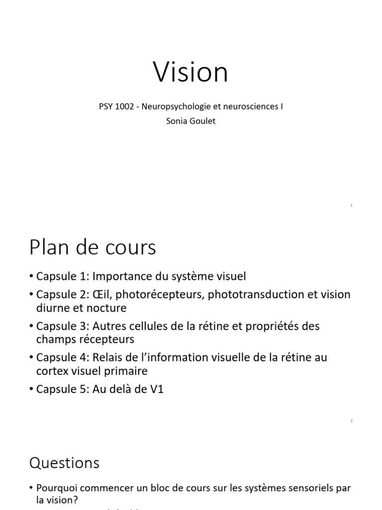 Diapos Vision | PDF
