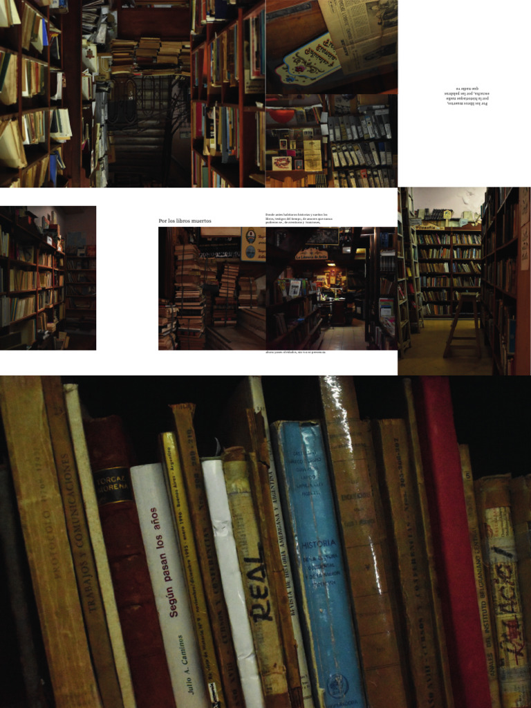 TP Fotografia Desplegable - Compressed | PDF