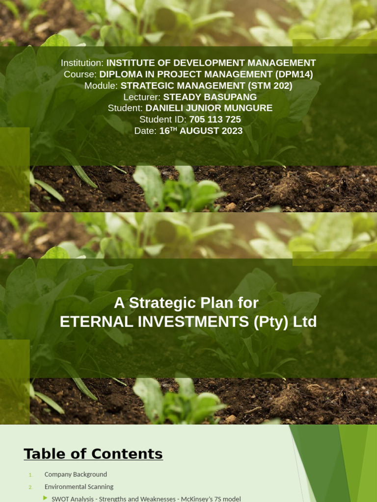 Strategic Plan (Presentation) | PDF