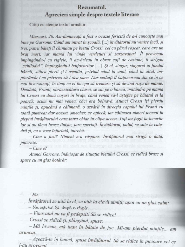 Rezumatul Fișă de Lucru | PDF