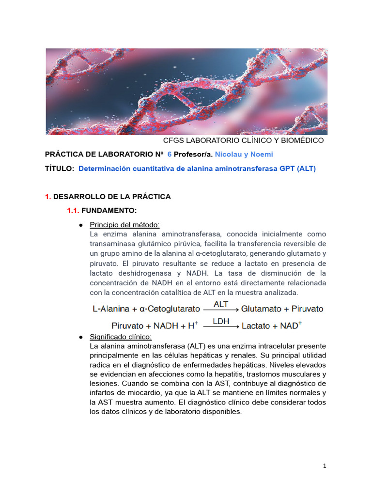 Práctica 6 BIO GPT. | PDF