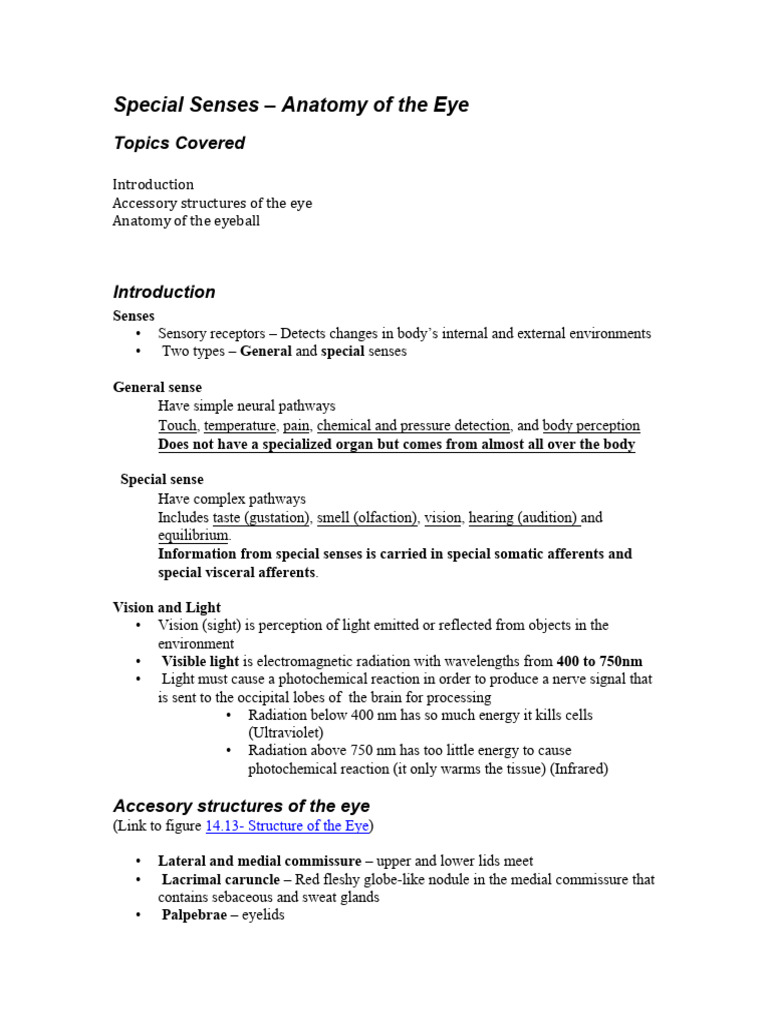 21 - Special Senses - Eye | PDF