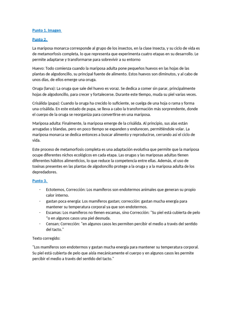 Punto 1 | PDF