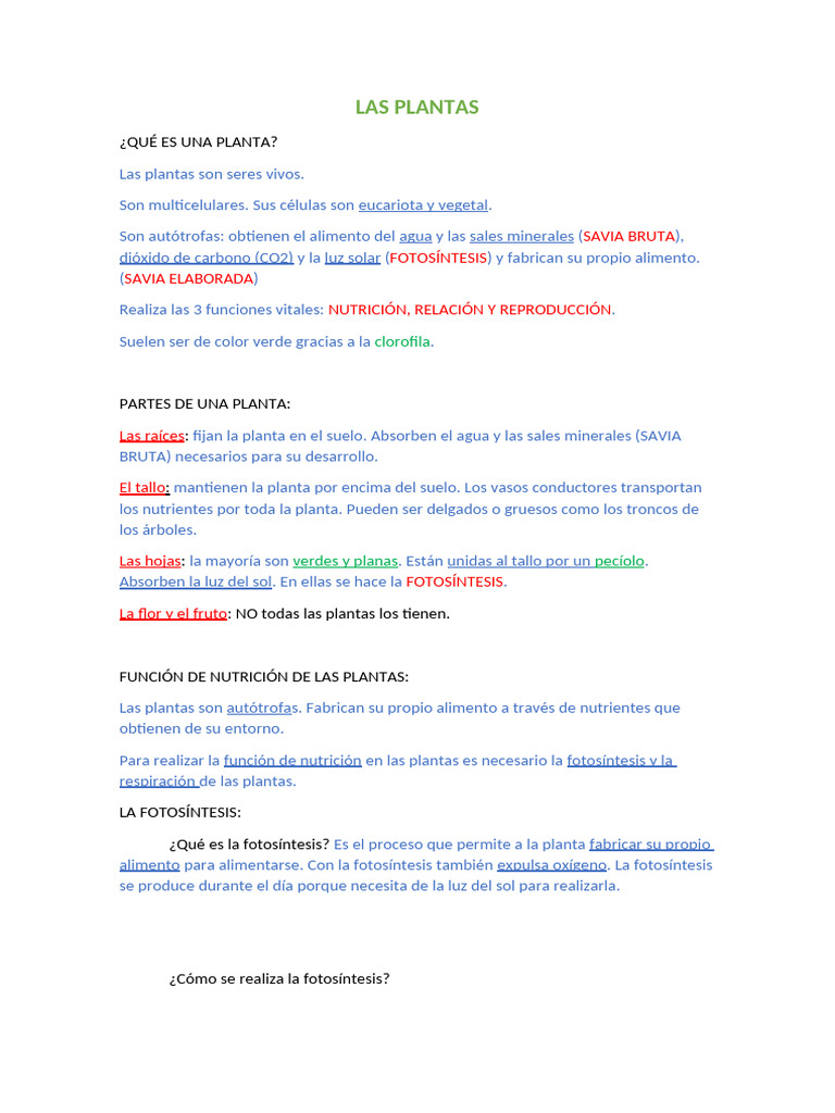 Las Plantas 5ºprimaria | PDF | Plantas | Ciencia y matemáticas