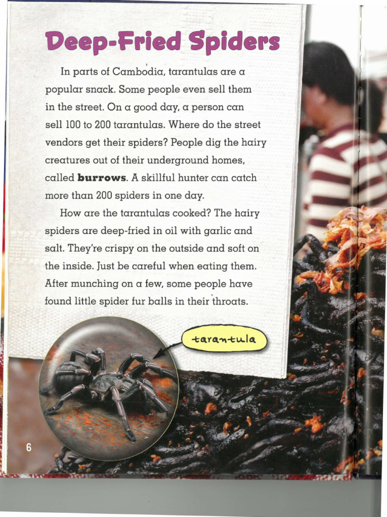 Deep Fried Spiders | PDF