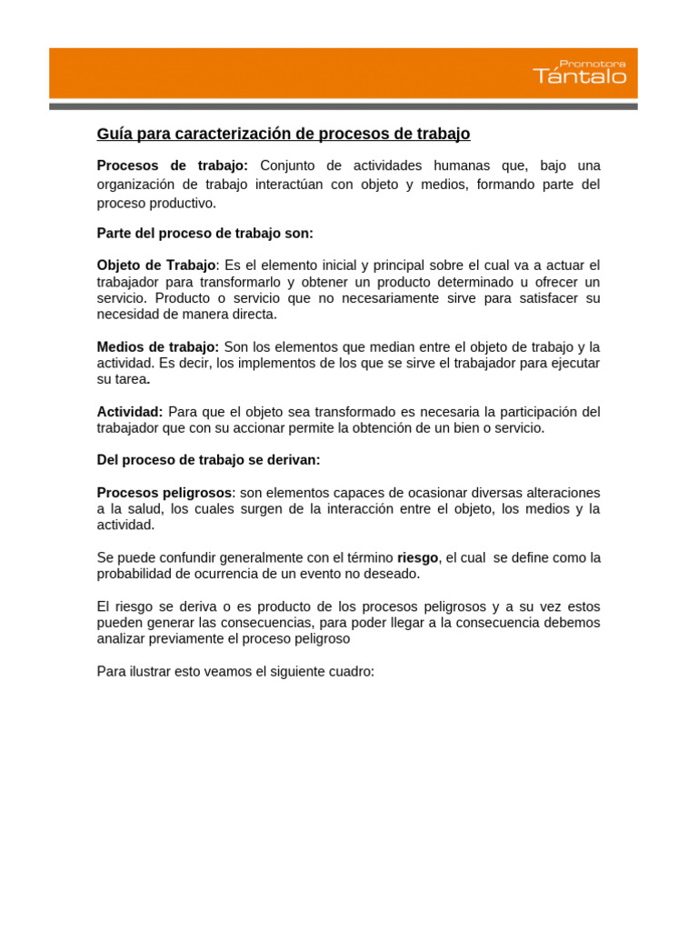 Guía para Caracterizar Los Procesos de Trabajo | PDF