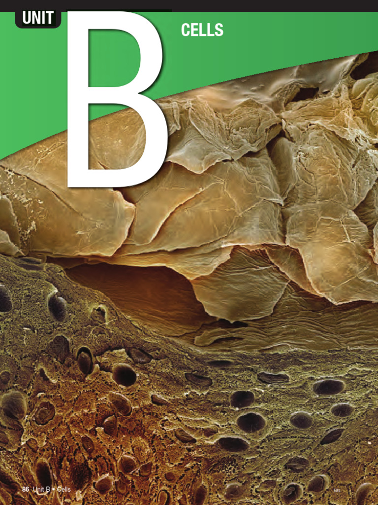 Cells Chapter1 | PDF