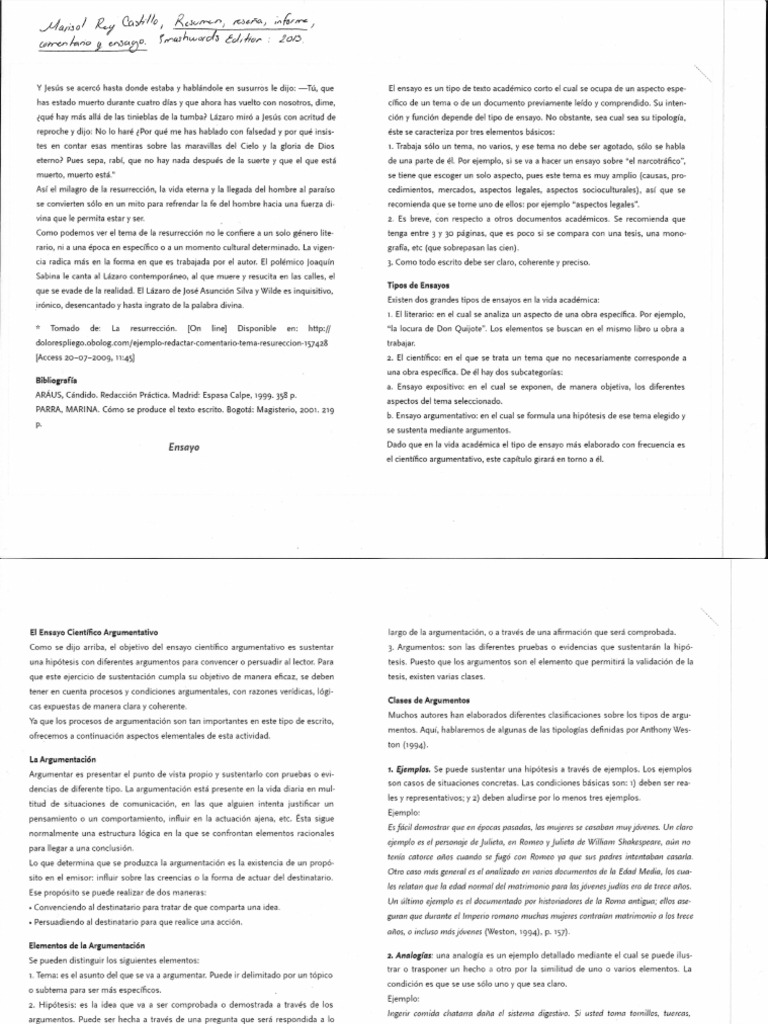 El Ensayo - Marisol Rey Castillo | PDF