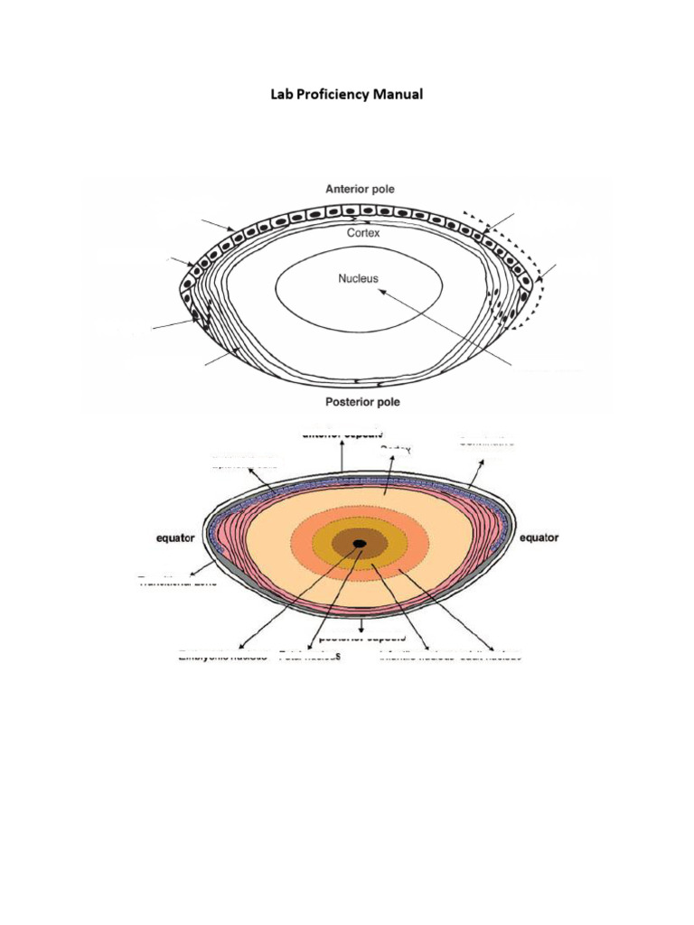 BLANK Lab Manual | PDF
