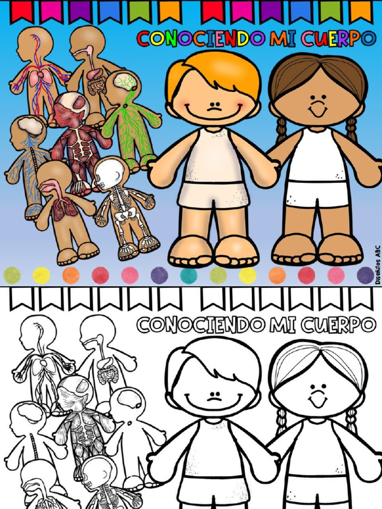 Hojas De Trabajo Conociendo Mi Cuerpo 1 Pdf