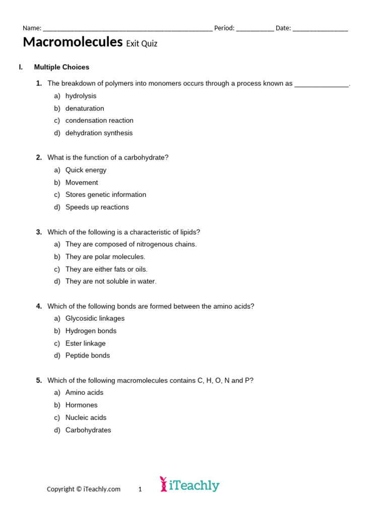 1 7 Exit Quiz SE Macromolecules | PDF