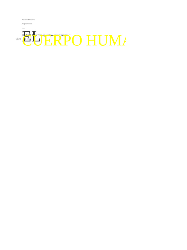 Cuerpo | PDF