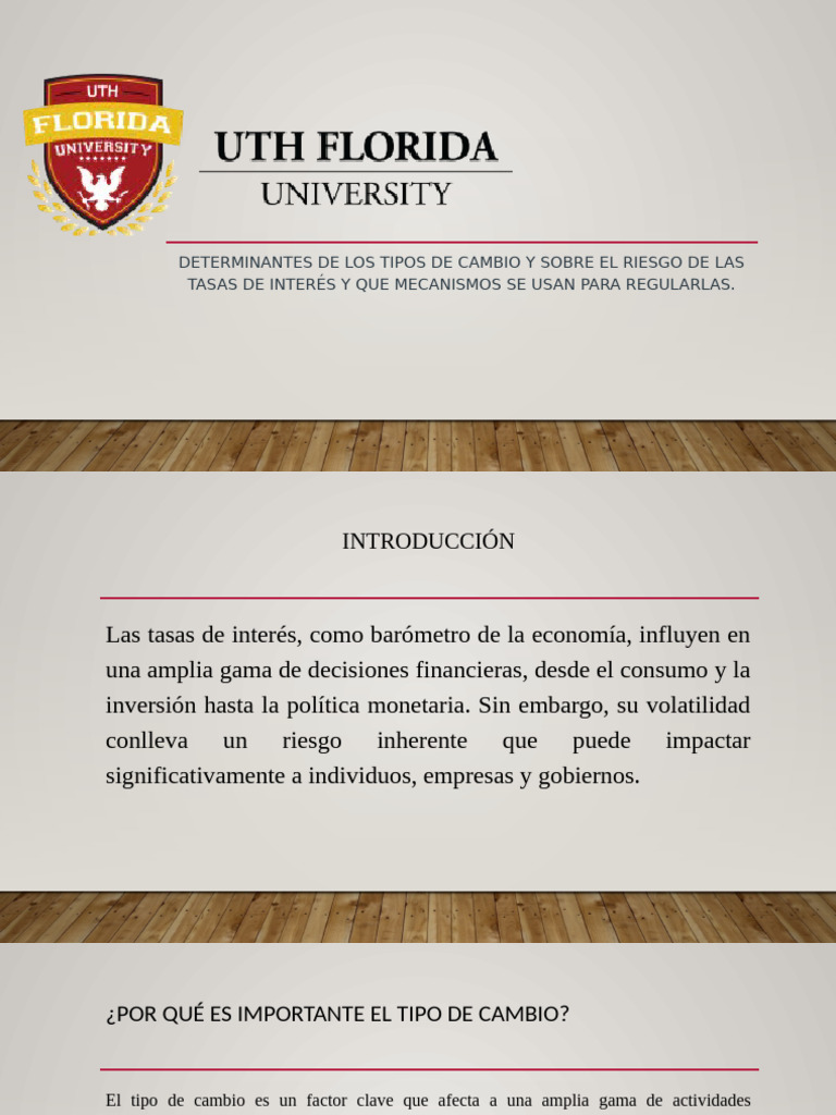 Presentacion Sobre Tipos de Cambio | PDF