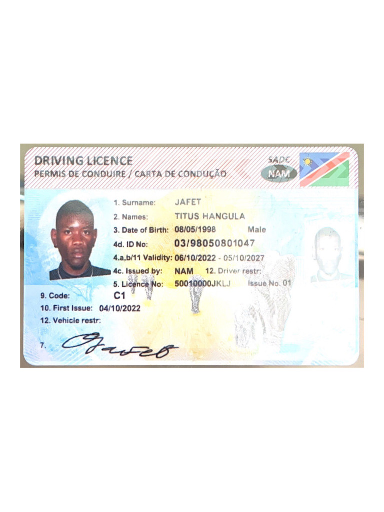 DRIVING LICENCE | PDF