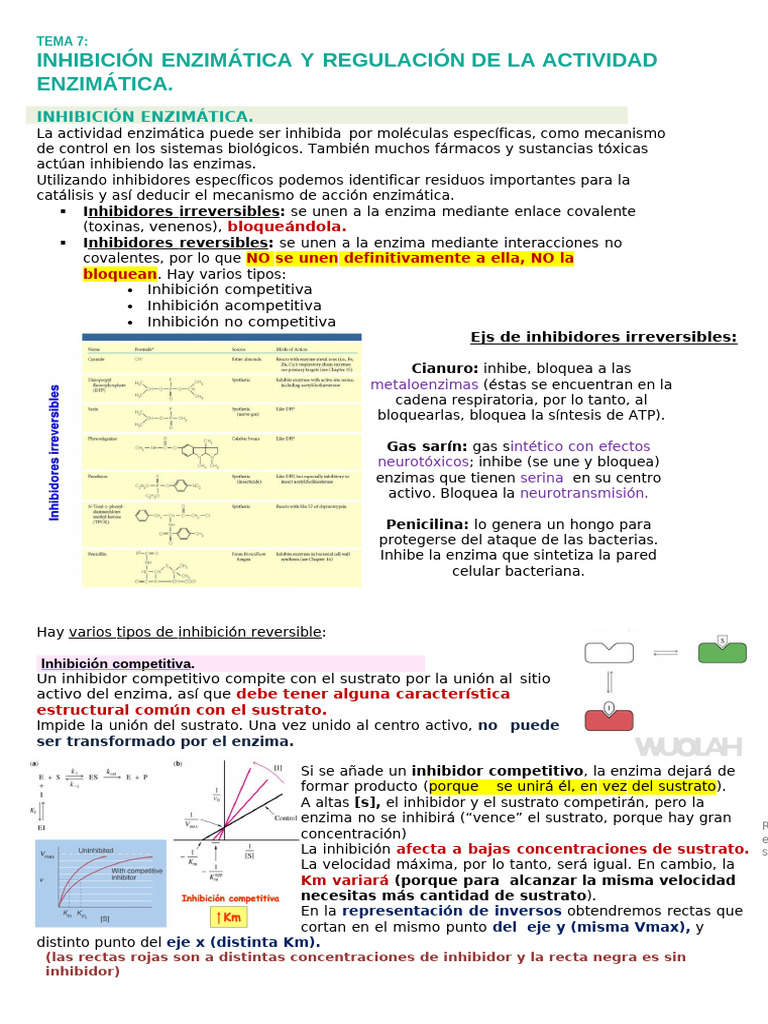 Tema-7-Inhibicion-enzimatica-y-regulacion-act | PDF