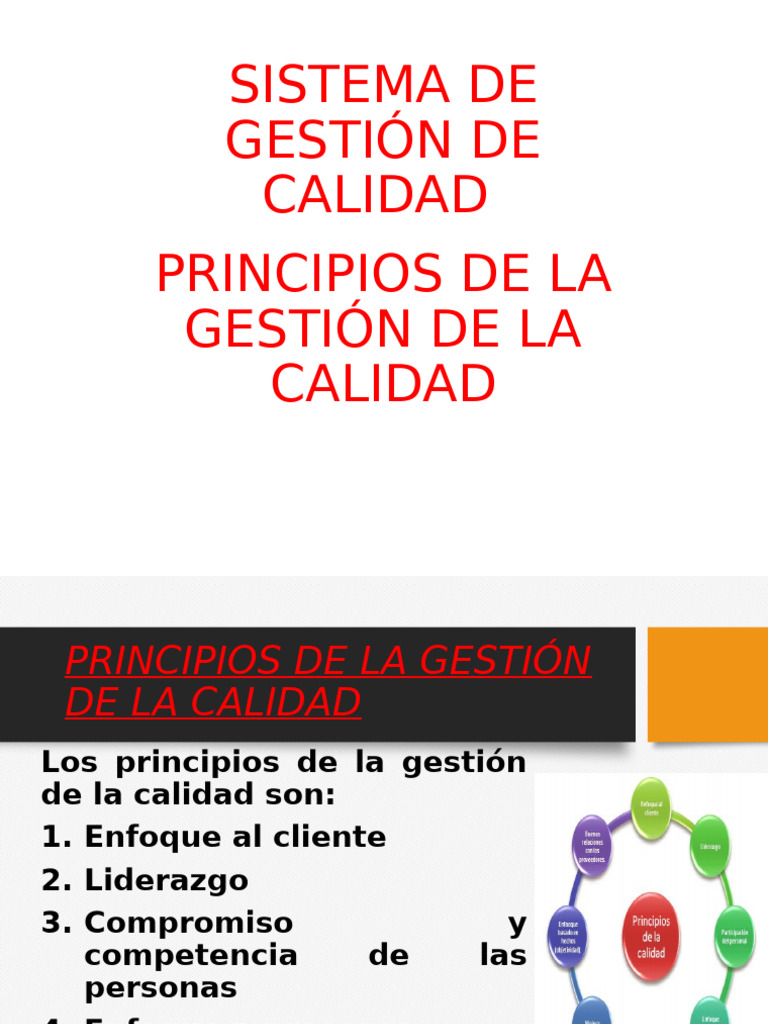 PRINCIPIOS DE GESTION | PDF