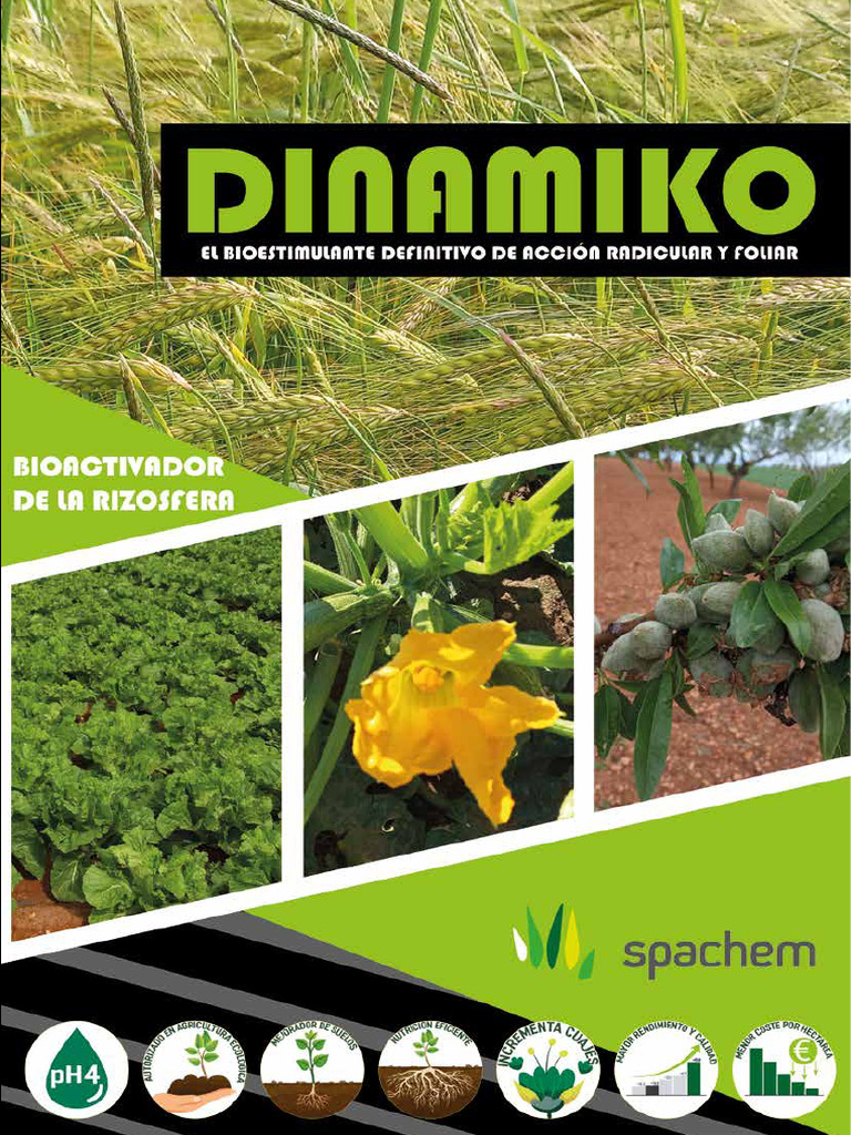 Folleto Dinamiko | PDF