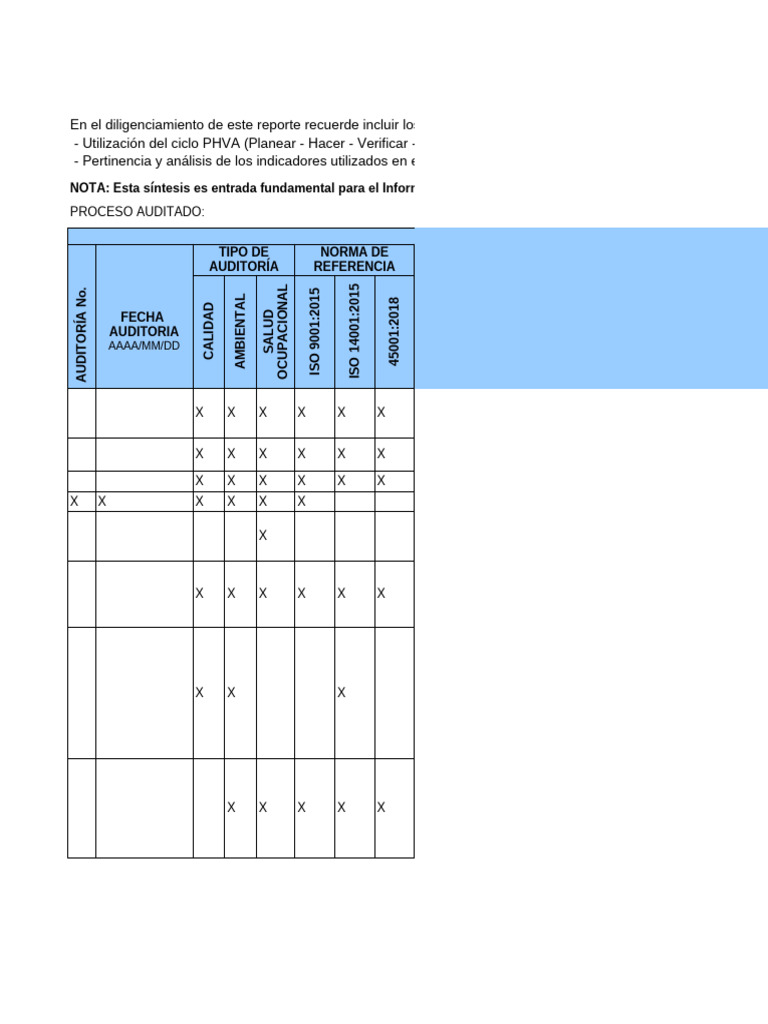 FORMATO Sintesis Del Proceso Auditado | PDF