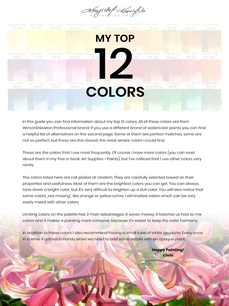 My Top 12 Colors PDF | PDF