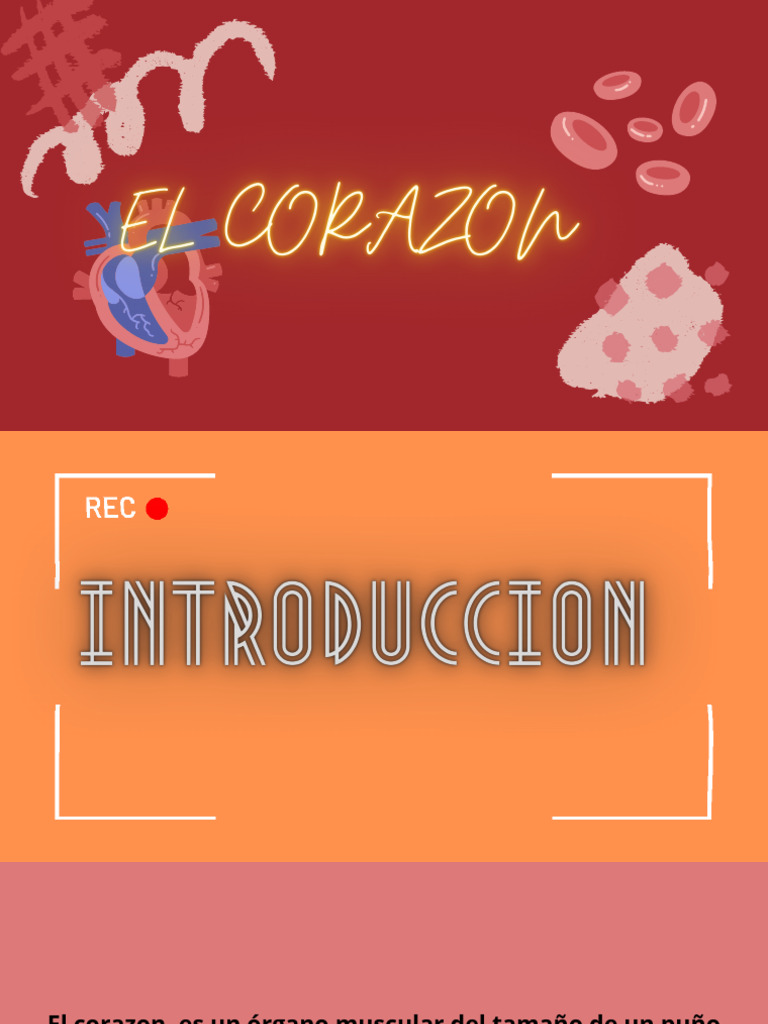 Presentacion El Corazon | PDF