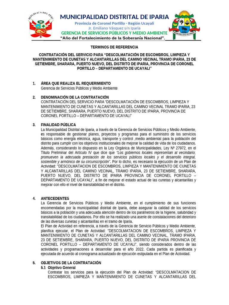 TDR Servicio de Mantenimiento Cunetas | PDF TDR Servicio de Mantenimiento Cunetas | PDF