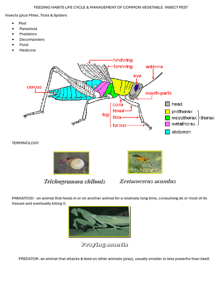 Feeding Habits Life Cycle | PDF