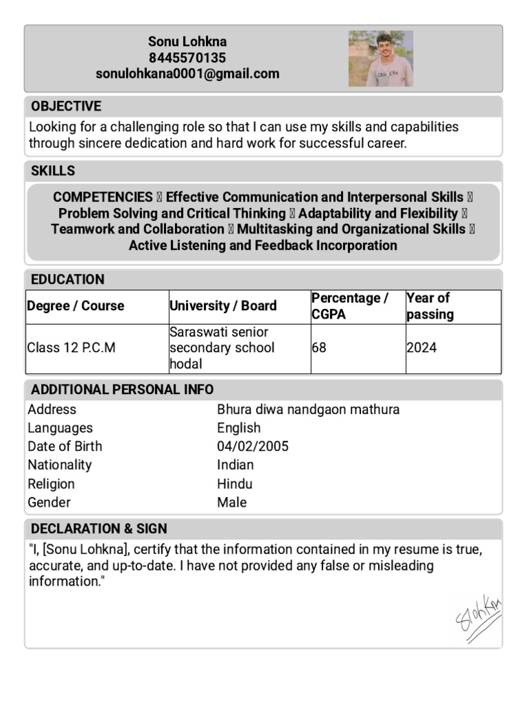 Sonu Lohkna - Resume Overview | PDF