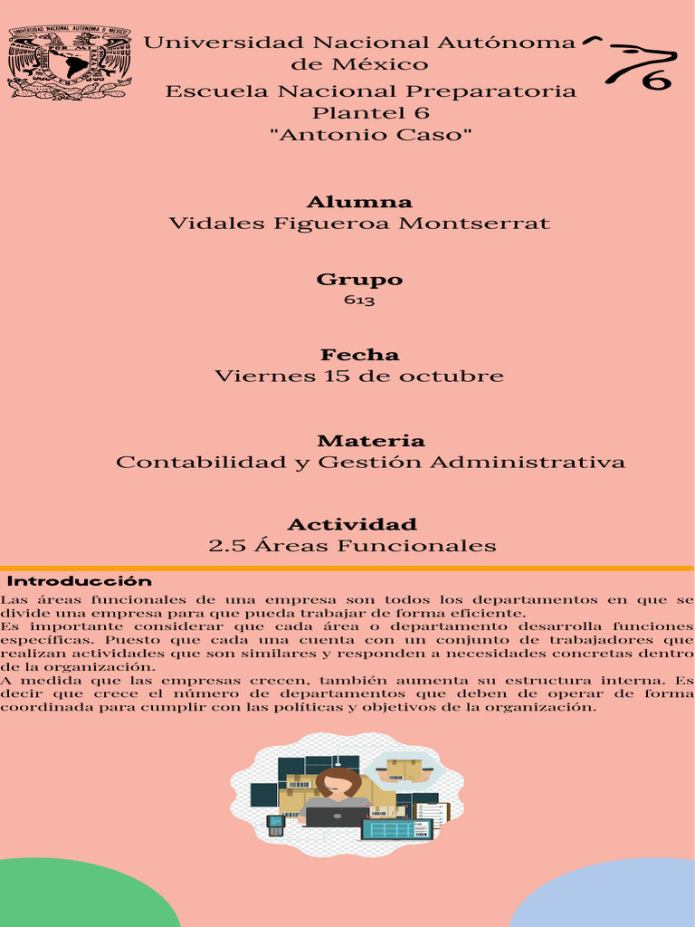 Áreas Funcionales | PDF