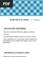 Articulación Coxofemoral Cuadro Integrador | PDF | Rodilla | Cadera