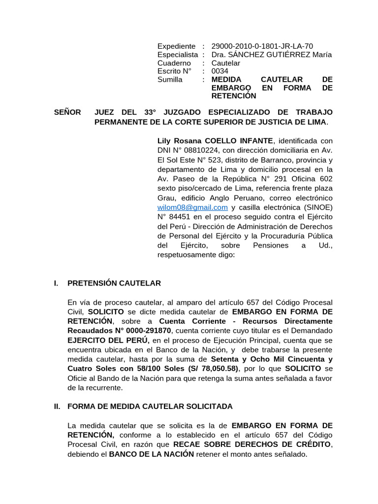 Medida Cautelar | PDF