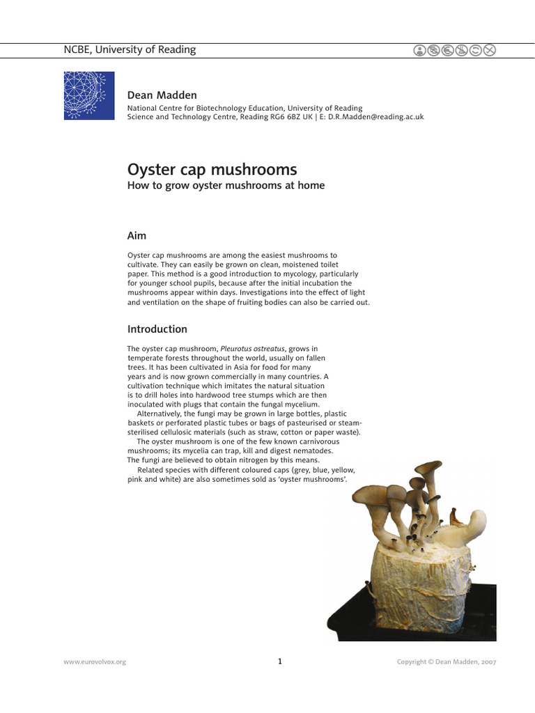 Oyster Mushrooms in Toilet Paper | PDF