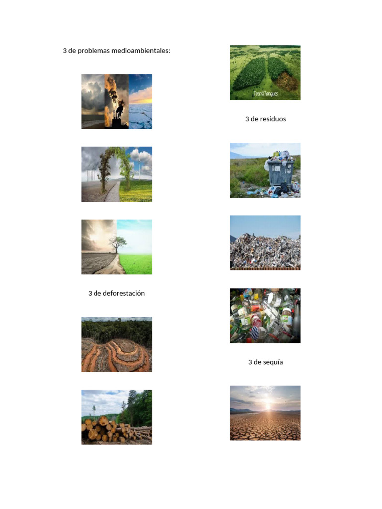 3 de problemas medioambientales | PDF