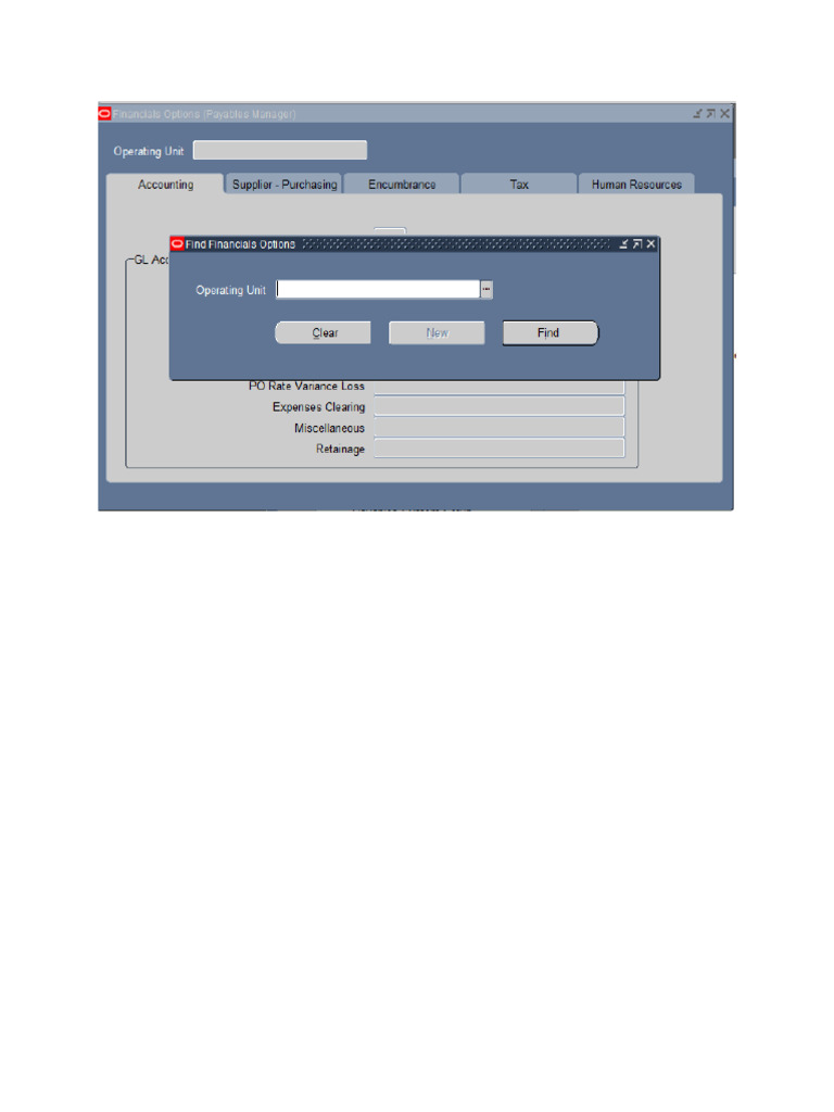 Financial Options | PDF