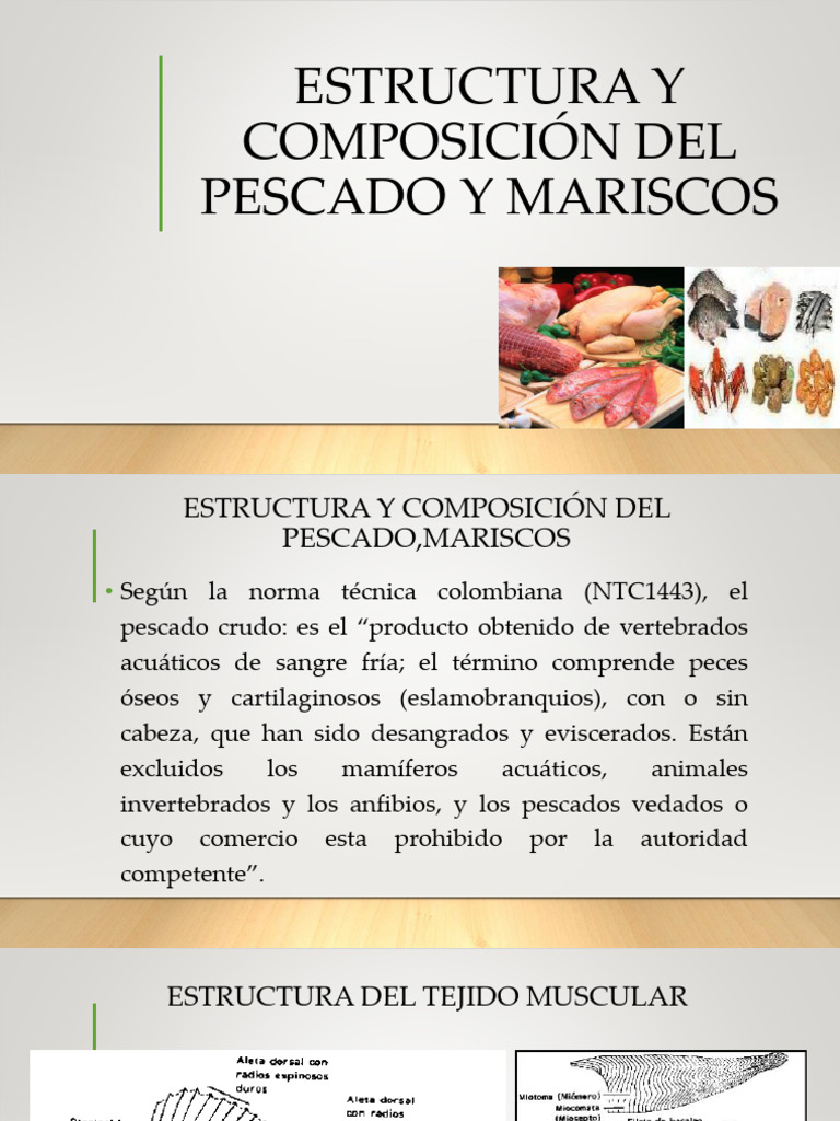 Estructura Muscular Del Pescado, Mariscos | PDF