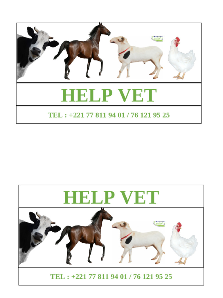 Affiche de Help Vet | PDF