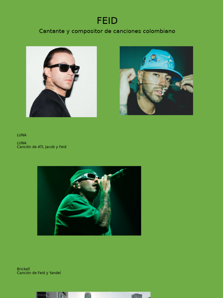 Feid: Canciones y Colaboraciones | PDF | Arte