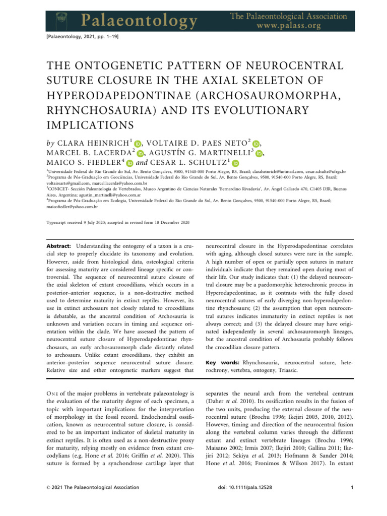 Heinrich Et Al 2021 - Rhynchosaur Neurocentral Suture Ontogeny | PDF