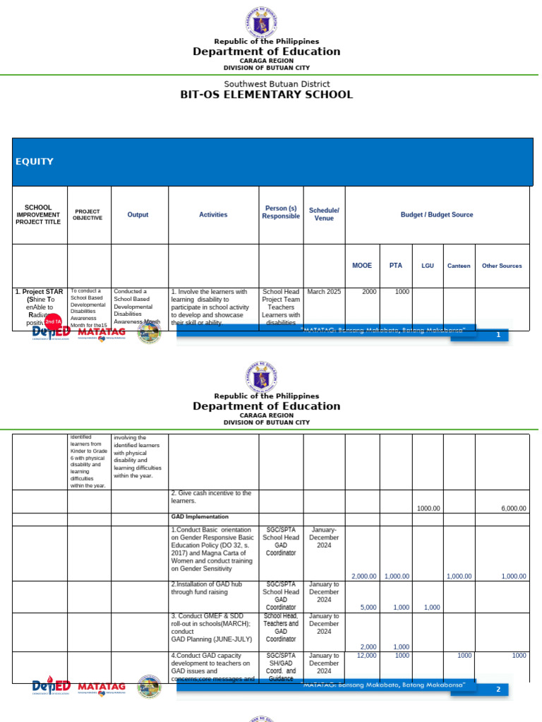 Aip C.Y. 2024 - Project Star Equity 1 | PDF