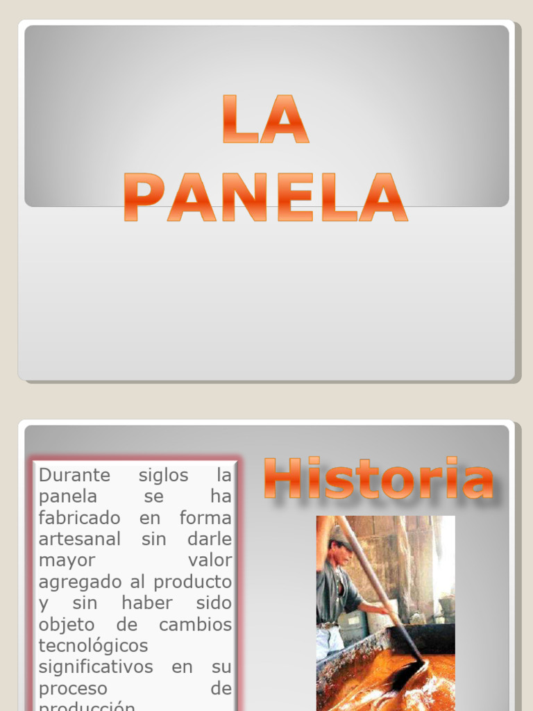 Lapanelaproceso 100409112439 Phpapp01 | PDF