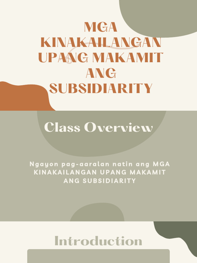 Subsidiarity 20240910 031049 0000 | PDF