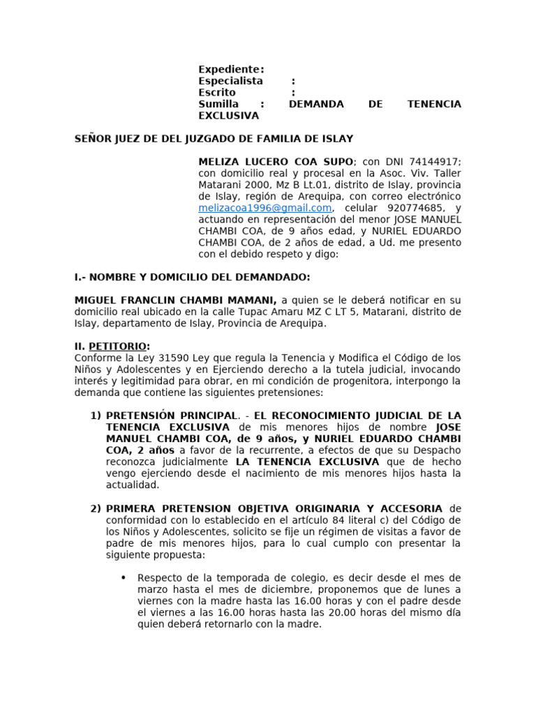 DEMANDA DE TENENCIA MELISA FINAL | PDF