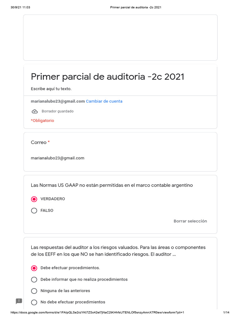 1º Parcial de Auditoria - 2c 2021 8 Teoria, 8 Practica | PDF