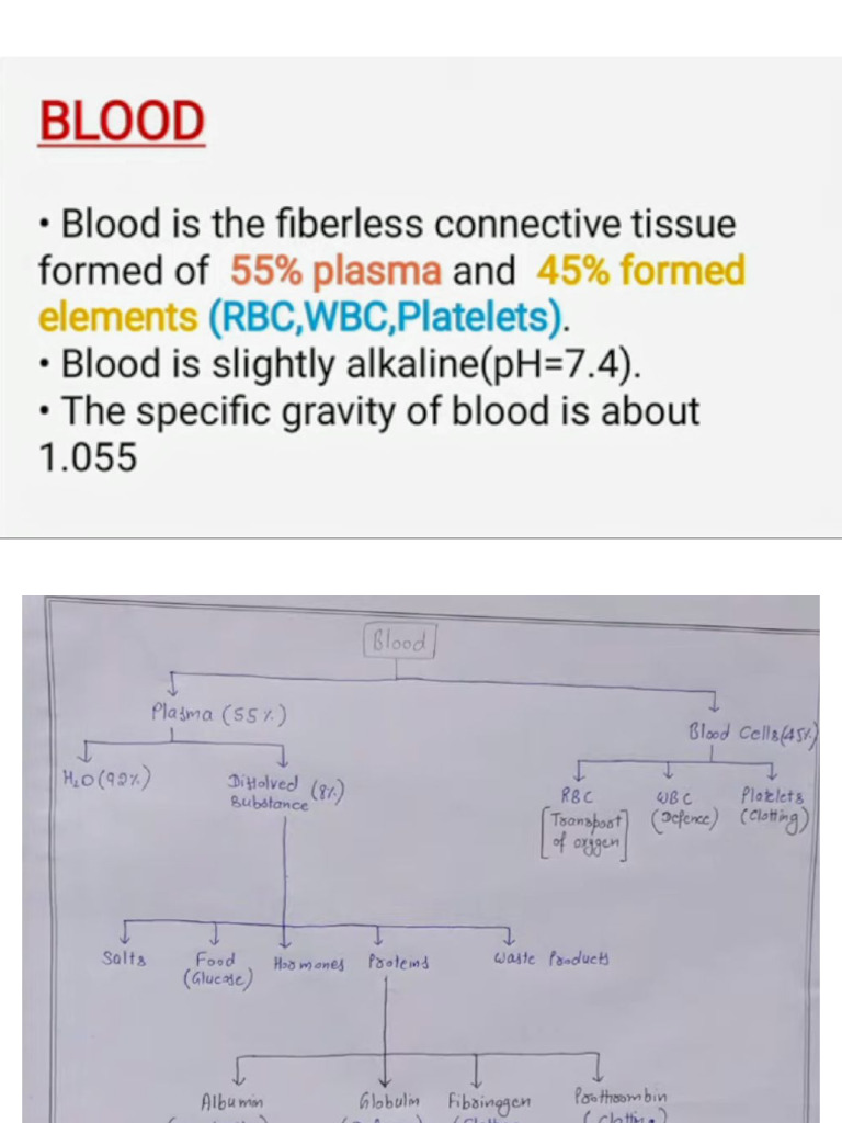 Pathology Blood Notes | PDF