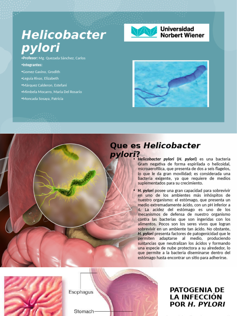 Helicobacter Pylori | PDF
