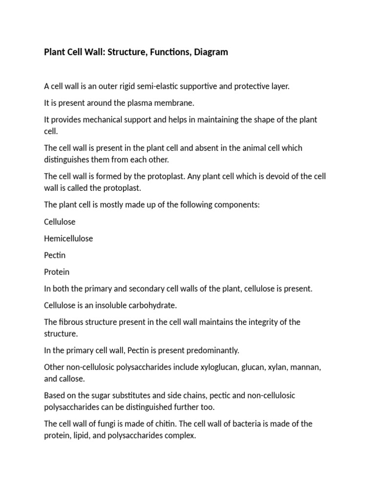 Cell Wall | PDF
